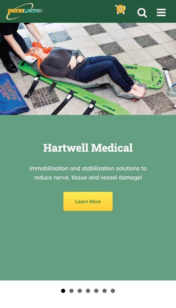 PennCare - Two Loon Software